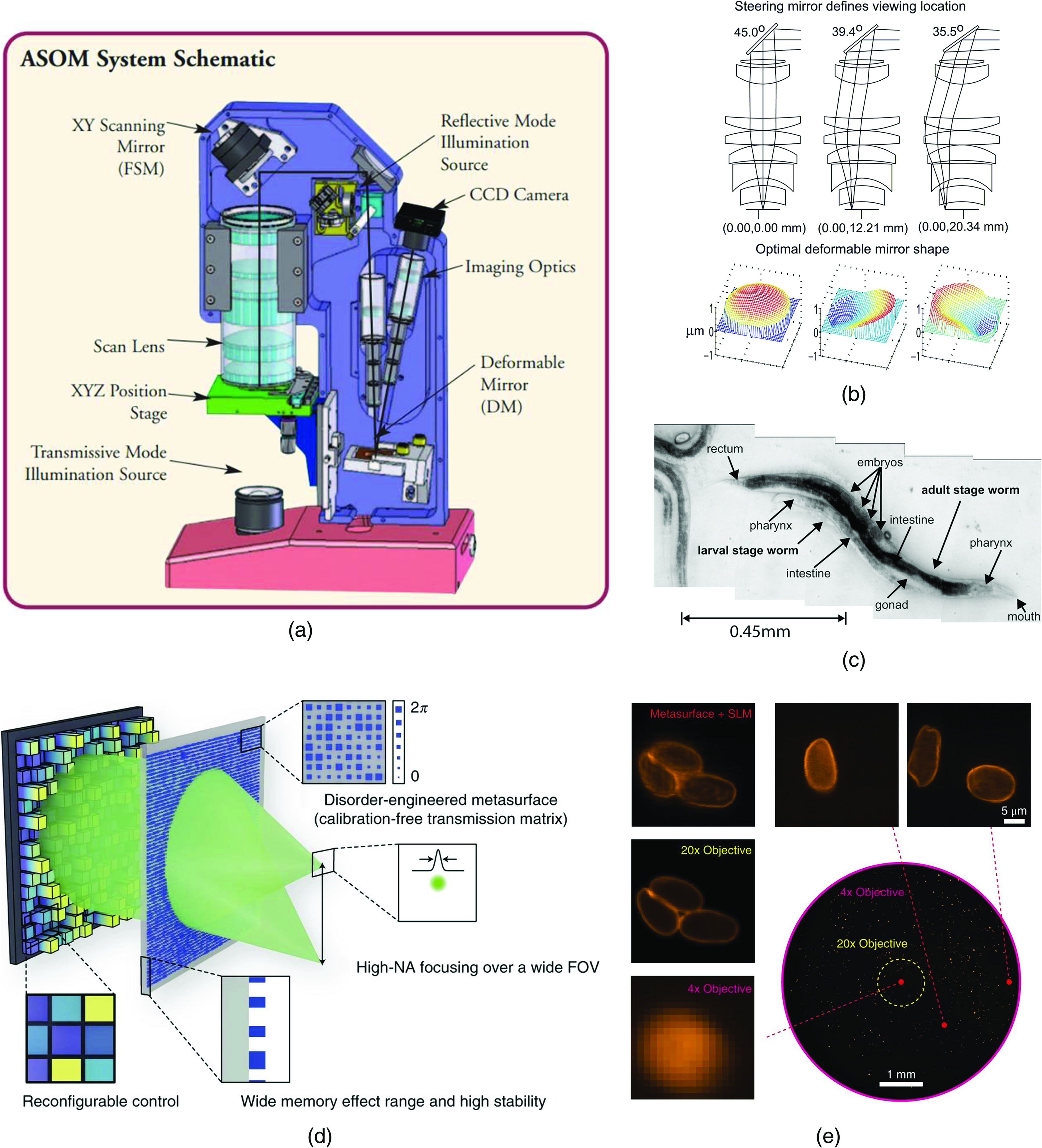 Review of bio-optical imaging systems with a high space-bandwidth product