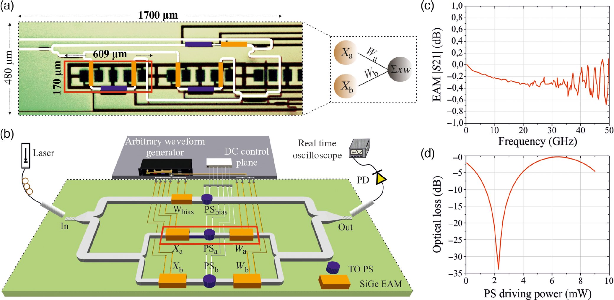 Neuromorphic silicon photonics with 50 GHz tiled matrix multiplication ...
