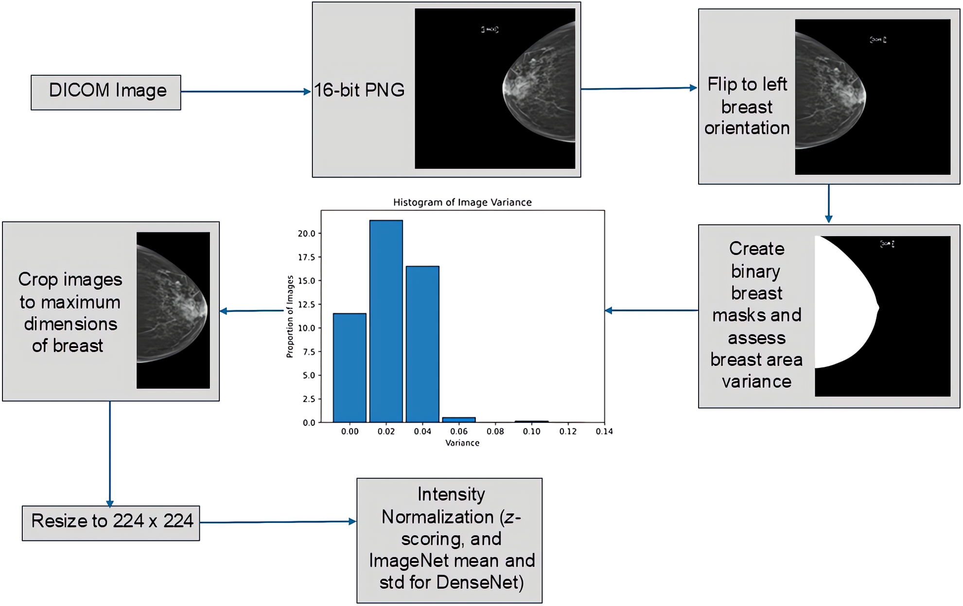 Head-to-head comparisons of breast density assessment models using deep ...
